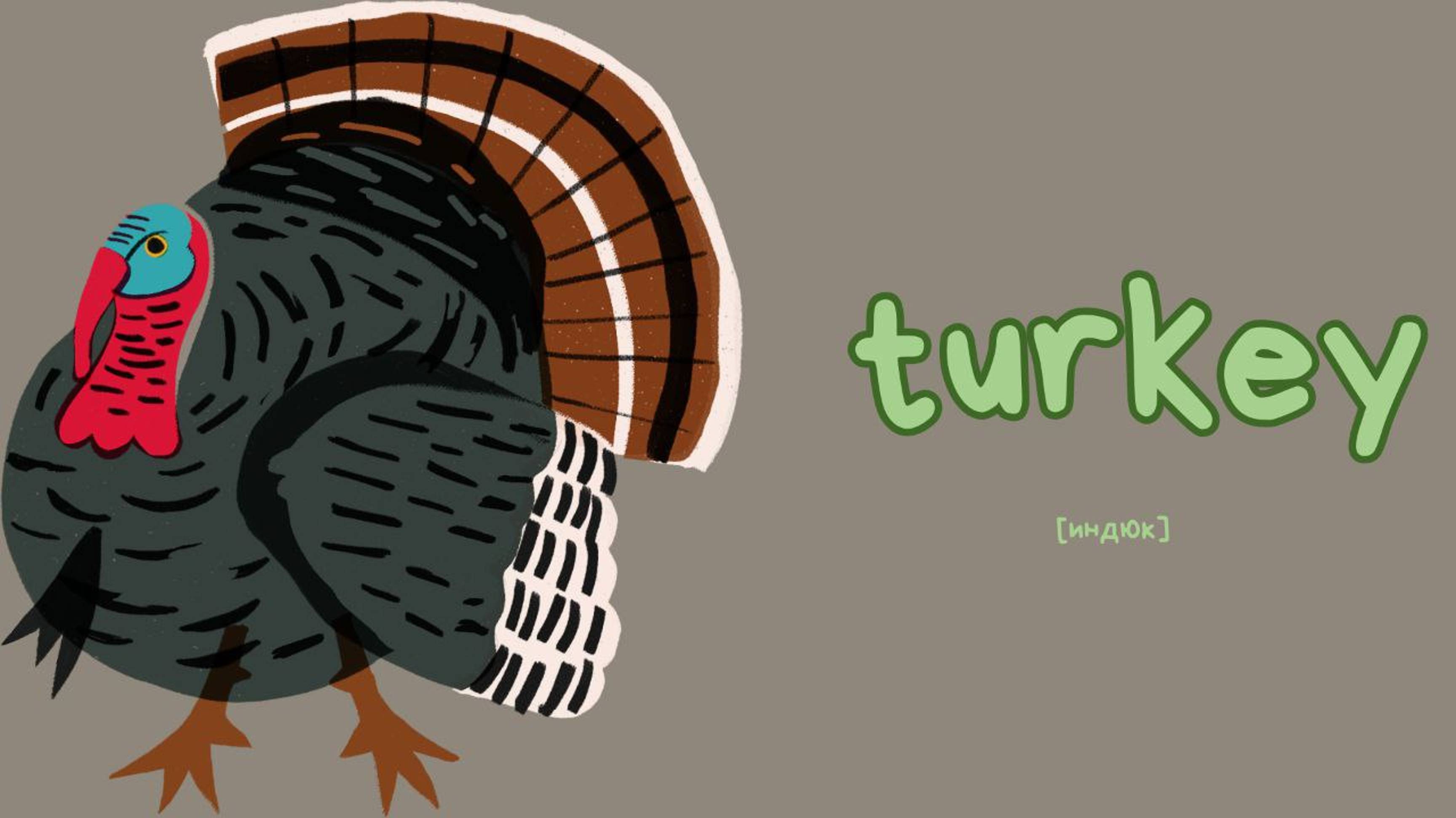 видеоурок на тему What kind of animals? стр 13

медиафайлы взяты из онлайн-сервиса Canva