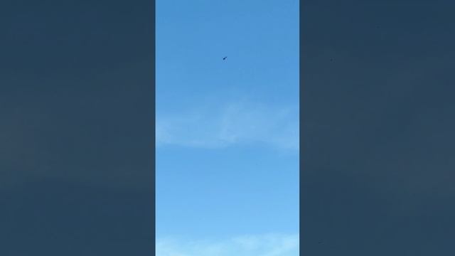 ВОТ ЧТО УВИДЕЛА В ГОРАХ???