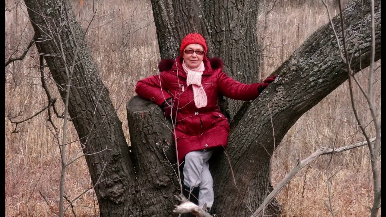 весной по лесу