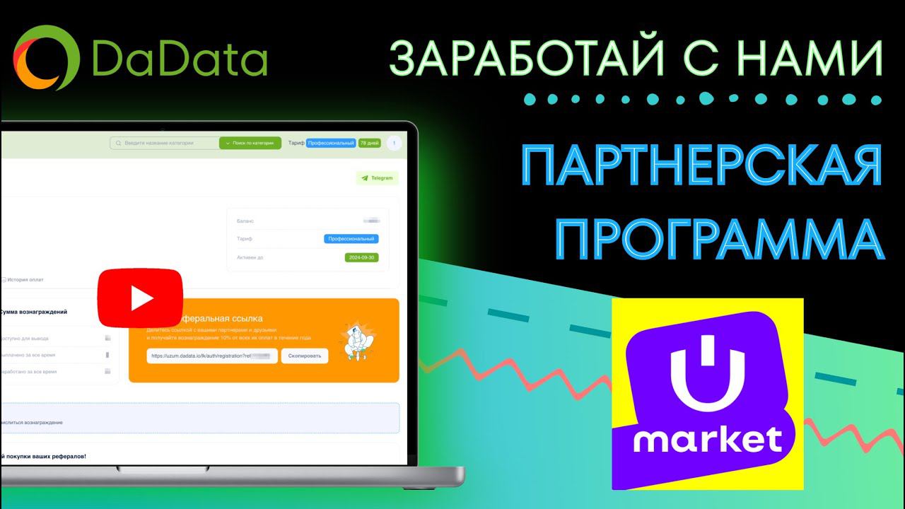Обзор Партнерской программы DaData - премиального сервиса аналитики маркетплейса Uzum Market