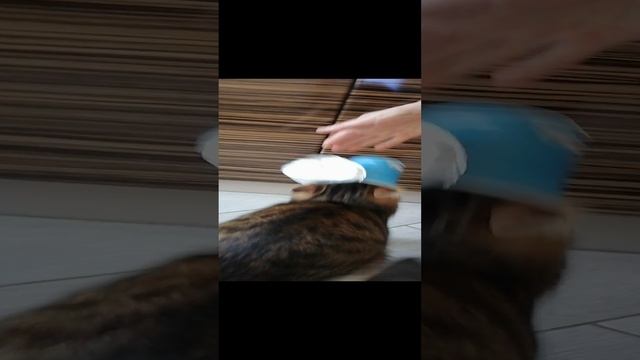 VID_20230110_123755.mp4
