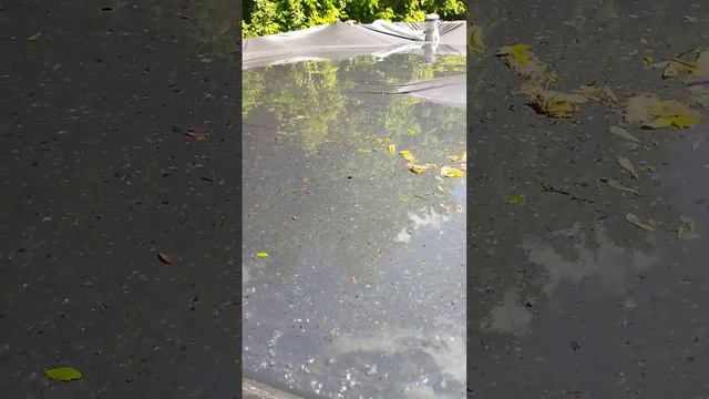 Простое решение для бассейна.