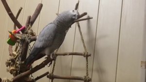 Глупая ты баба!