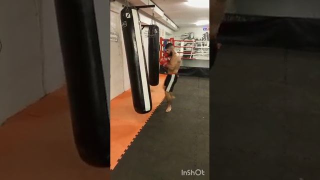 VID_20231211_132709_184.mp4
