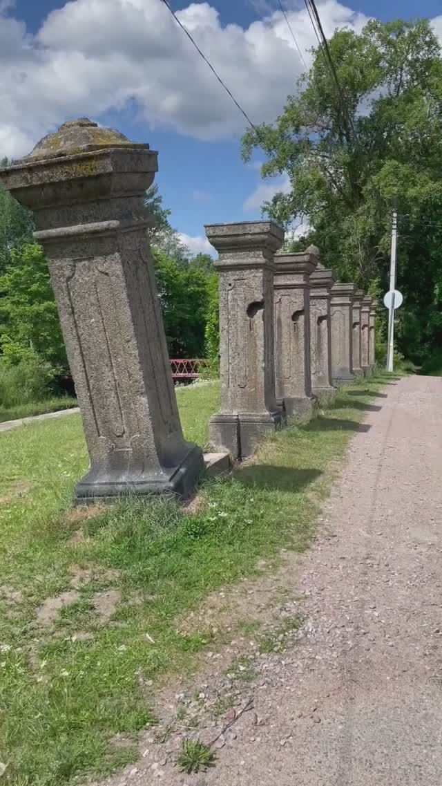 Однодневный поход. Разведка маршрута. #туризм #маршрут #ленобласть #экотропа #стартап