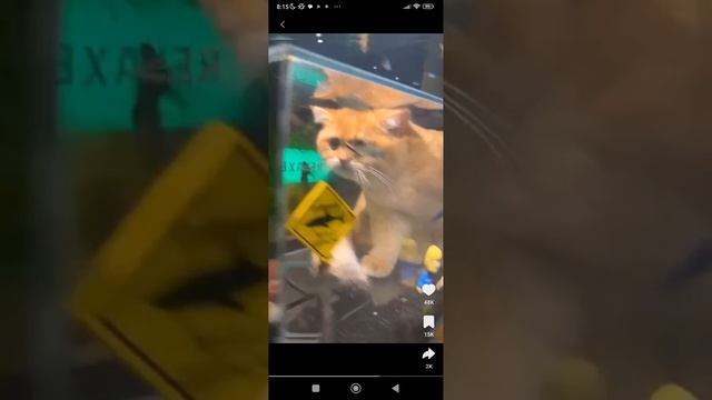 1000045369.mp4
