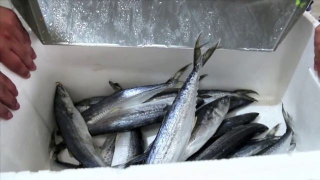 Машина для мойки рыбы, овощей или фруктов