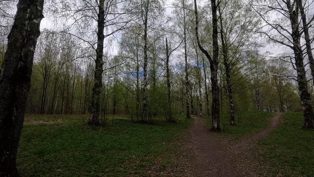 Грустная музыка из Тик Тока без слов для фона. Фоновая музыка для Стихов Цитат