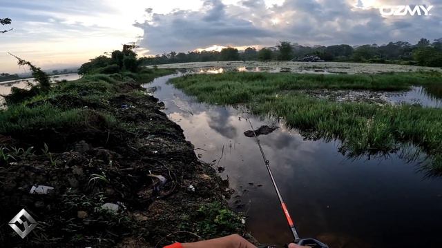 13 | BOTAK MANCING HARUAN | TEKNIK BATU GANTUNG - смотреть видео онлайн ...