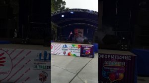 Я несла свою беду (Кавер)