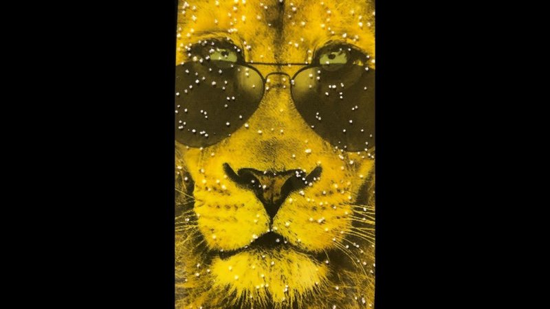 Ракетка для пляжного тенниса Rasta Lion GT Sexy BT