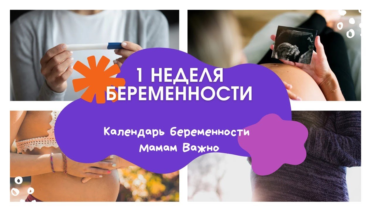 1 неделя беременности: изменения, особенности, признаки, рекомендации. Календарь беременности