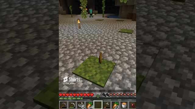 #minecraft #майнкрафт #the_aleks #подпишись #memes #рекомендации #shorts