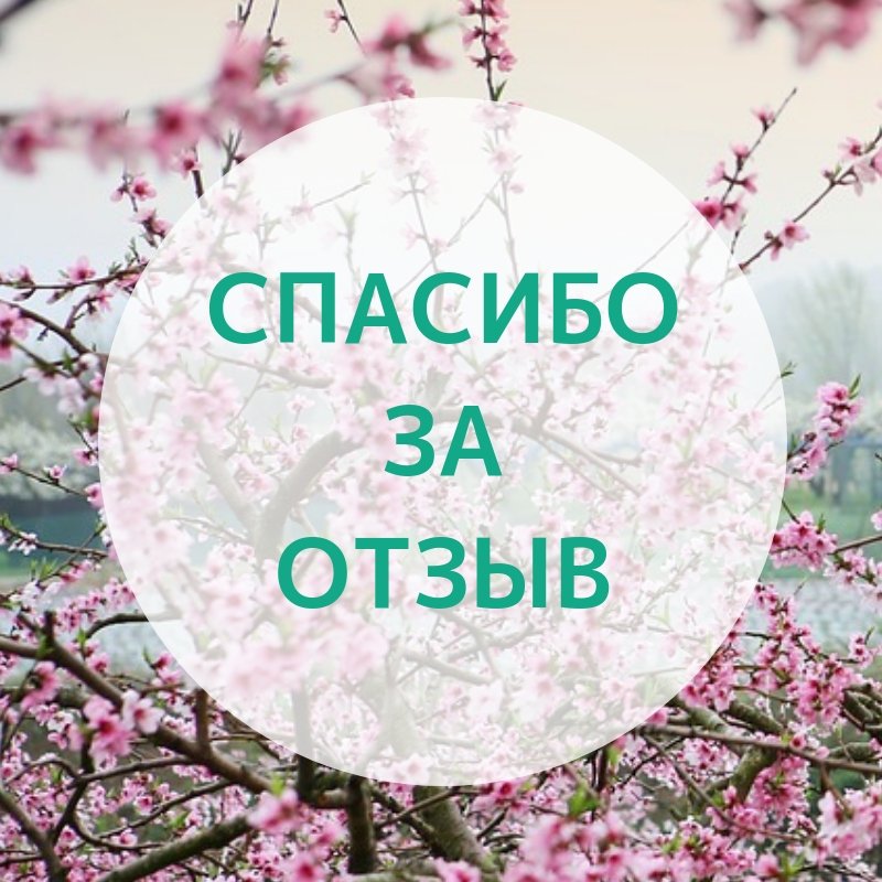 Отзыв. Трансперсональная психология.