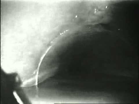 Телеинспекция трубы диаметром 800 мм