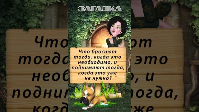 Загадка 1005.mp4