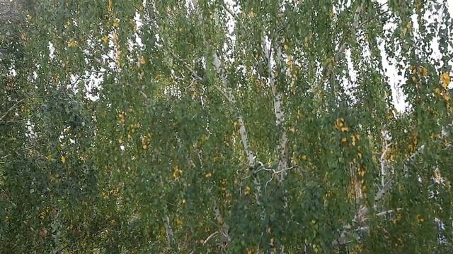 Как сделать венок из колосков