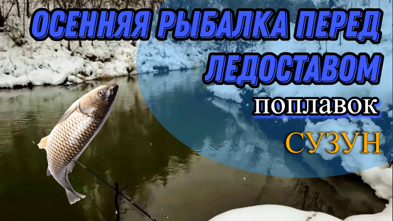 Осенняя рыбалка (Сузун) 13 ноября  2022 г. Плотва, перед ледоставом на поплавок.
