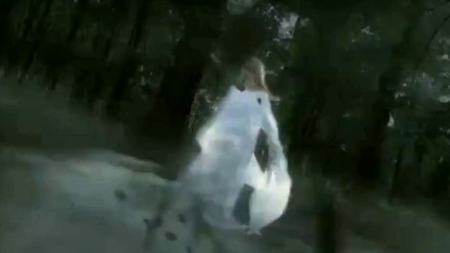 Мушкетеры 2005