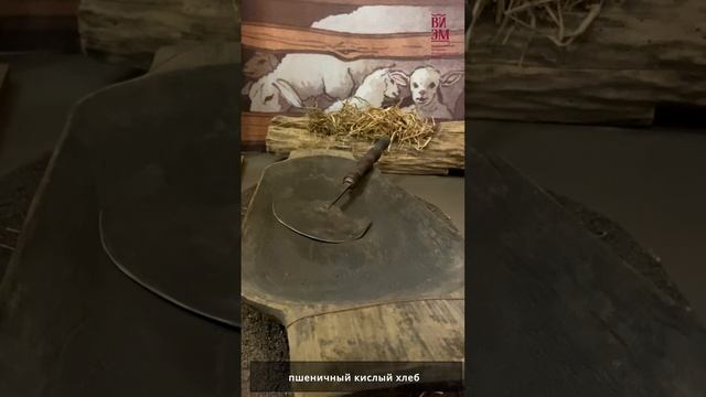 Ночва