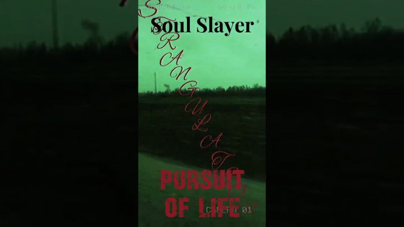Pursuit Of Life (Strangulation OST)