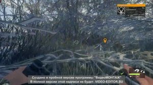 theHunter Call of the Wild 
Медвежья тайга