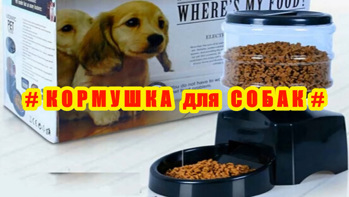 большая АВТОМАТИЧЕСКАЯ кормушка