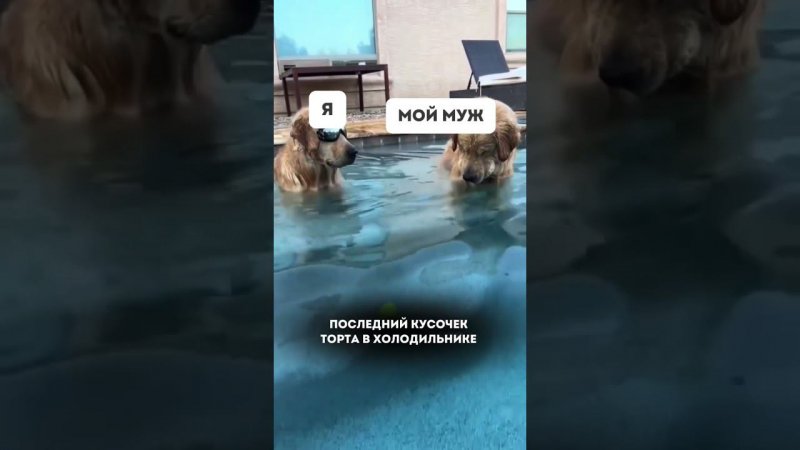 ЛЮБИМЫЕ ДЕСЕРТЫ МОЖНО ДАЖЕ НА НОЧЬ Как? Читай в комментариях