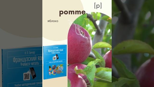 Французский язык. Буква P