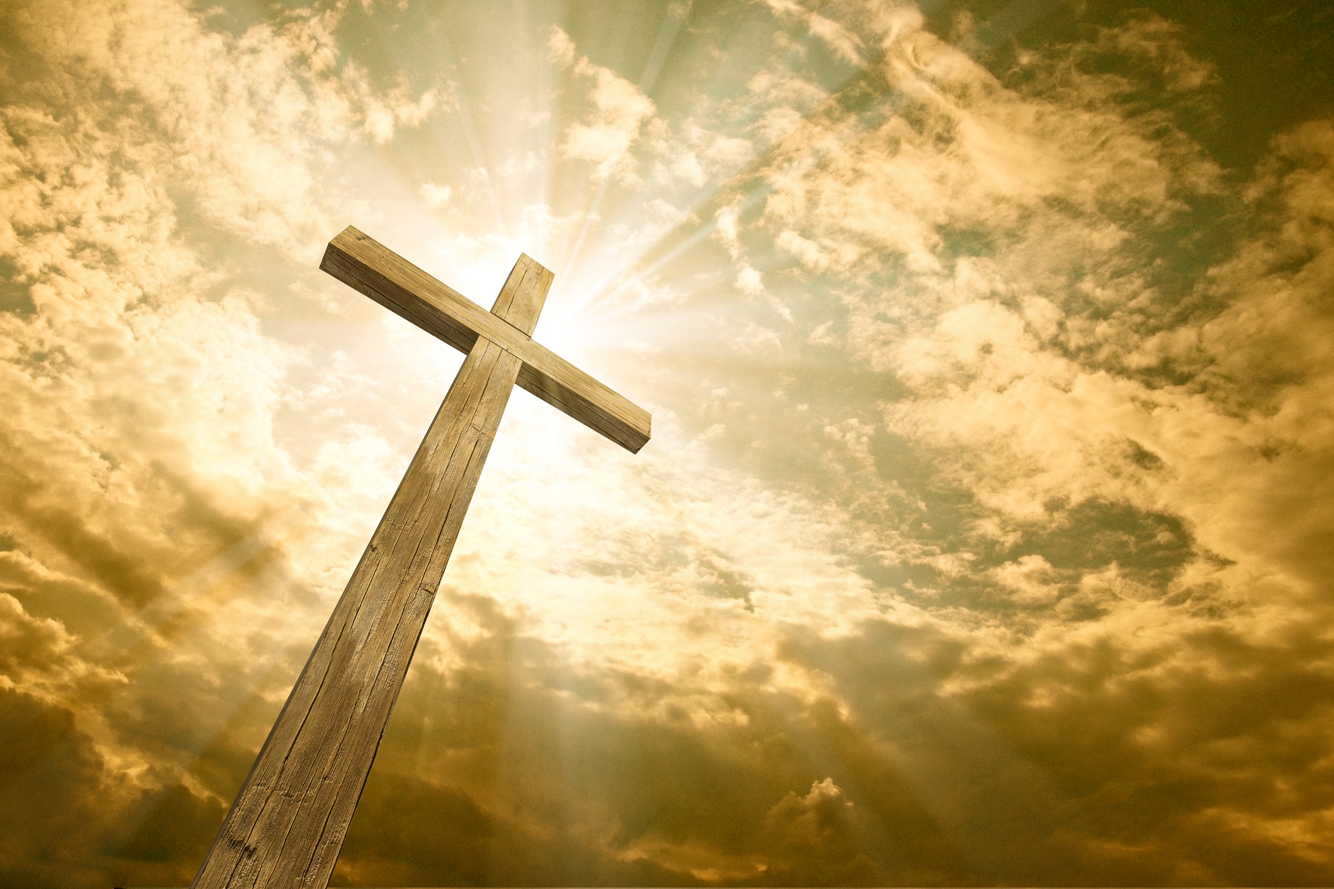 Оркестр на Вечере 2