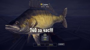 Русская рыбалка 4- Ладожский архипелаг