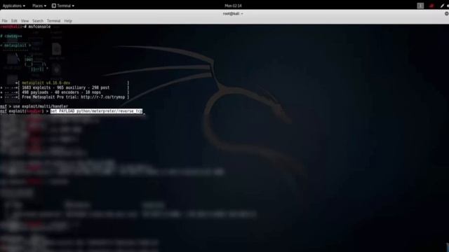 Master In Hacking With Metasploit 67 Hack Mac Mini Using Python Script Metasploit смотреть