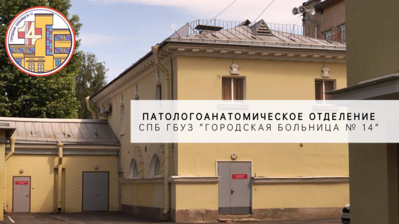 ПАО СПб ГБУЗ Городская больница № 14. Инструкция к работе с поисковой выдачей