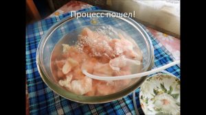 Многофункциональный ОЗОНАТОР - друг Вашего дома!!!
