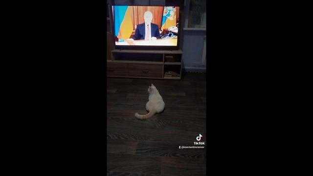 Новый проект3.mp4