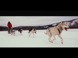 Life Below Zero