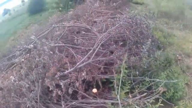 мой пруд через 2 месяца что с ним случилось