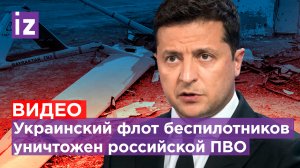 «Байрактары» - всё. Украинские «птички» сложили крылья перед российской ПВО – Business Inside
