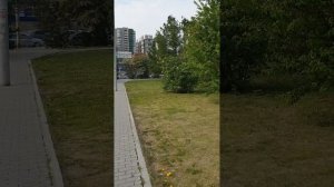 лунный календарь 31.05.23