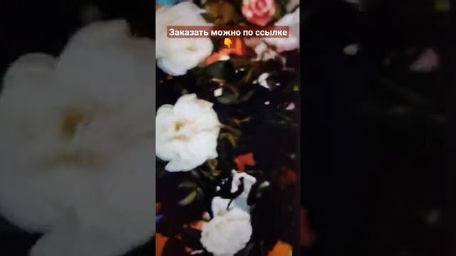 Карточка видео