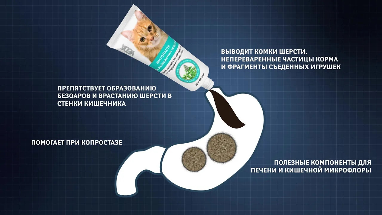 Презентация Фитопасты для выгонки шерсти