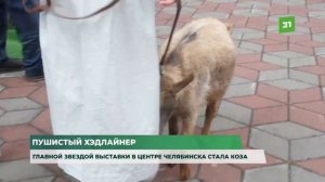 Главной звездой выставки плодов и цветов в центре Челябинска