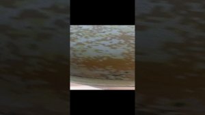 чехол 6б47 емр осень грязь