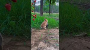 Доброе утро, август!?