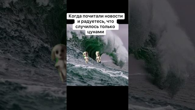 Переходи по ссылке в шапке профиля в наш телеграм и радуйся с нами ?