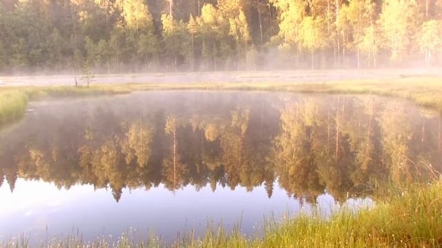 Владимир.Антонов.  Кундалини йога.mp4