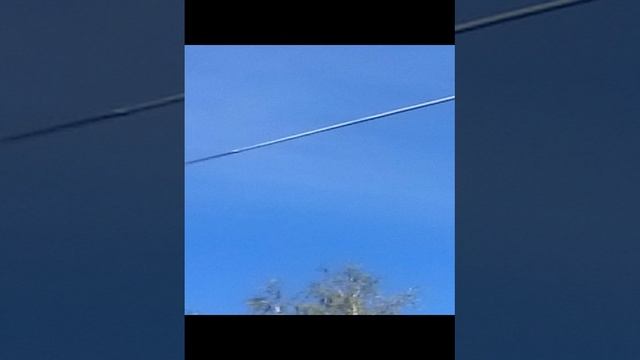 VID_20230825_094042.3gp
