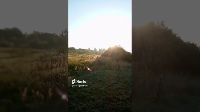 Хорошо В ДЕРЕВНЕ ЛЕТОМ