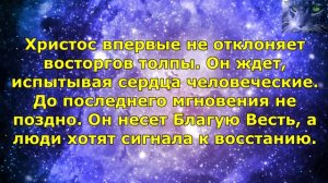 Баба Нина слепая