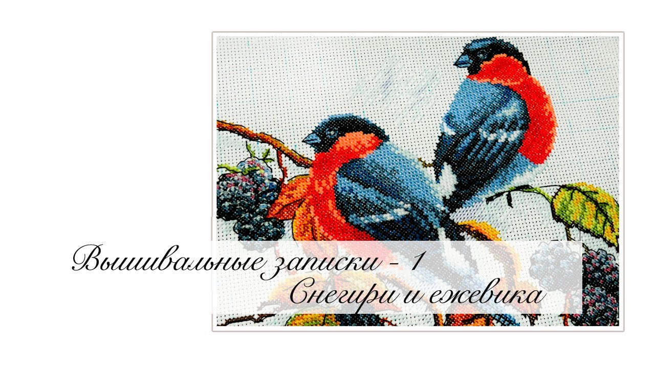 Вышивальные записки - 1. Снегири и Ежевика